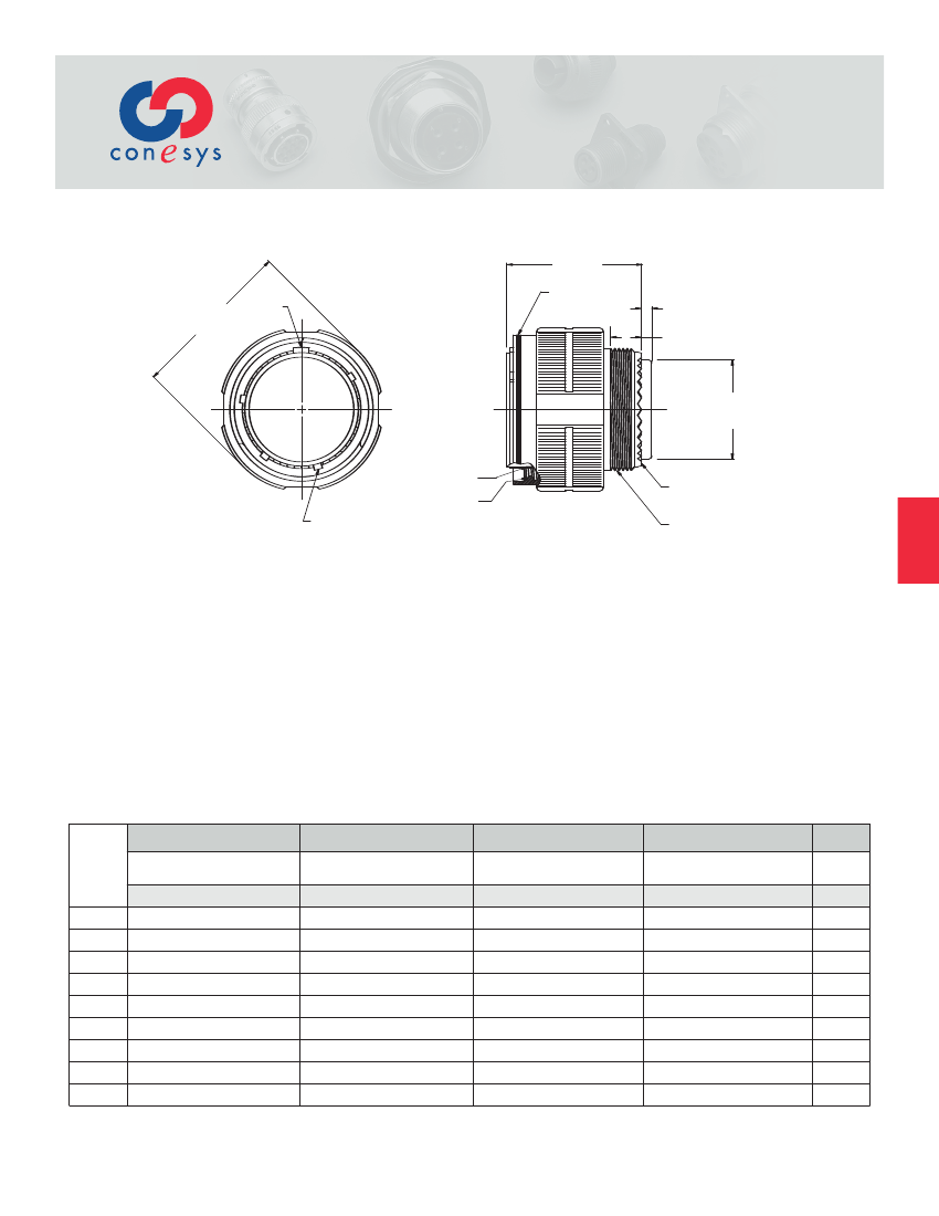 D38999/26KB98AN,D38999/26KB98AN pdf中文资料,D38999/26KB98AN引脚图,D38999 ...